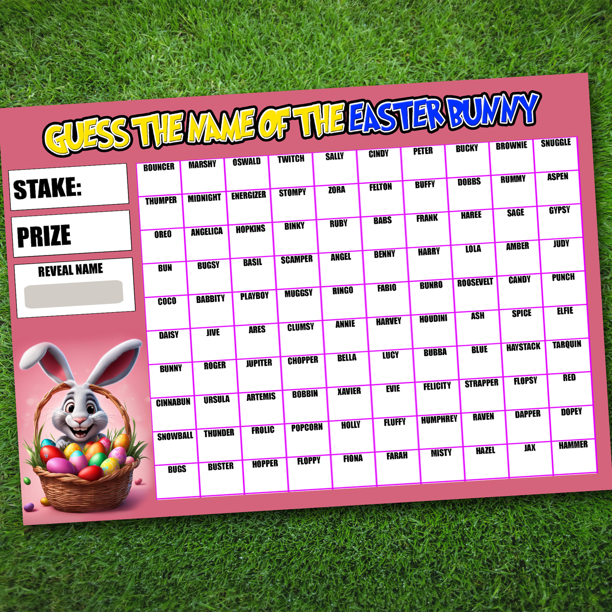 Guess the Name of EASTER Bunny Fundraising Game Easter Spring Summer F ...